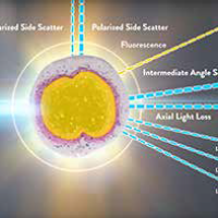 Abbott Hematology Technologies & Systems Training Resources