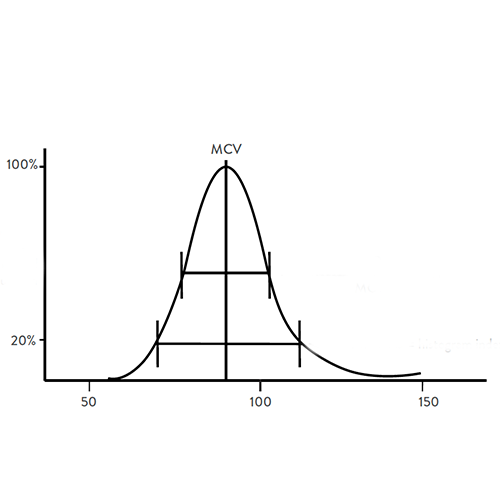 RBC Indices and Extended RBC Parameters Course | Abbott