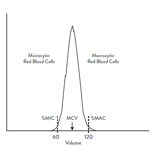 RBC Indices and Extended RBC Parameters Course | Abbott